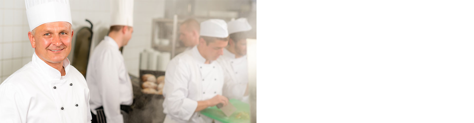 Consect Schädlingsbekämpfung GmbH - Taunusstein